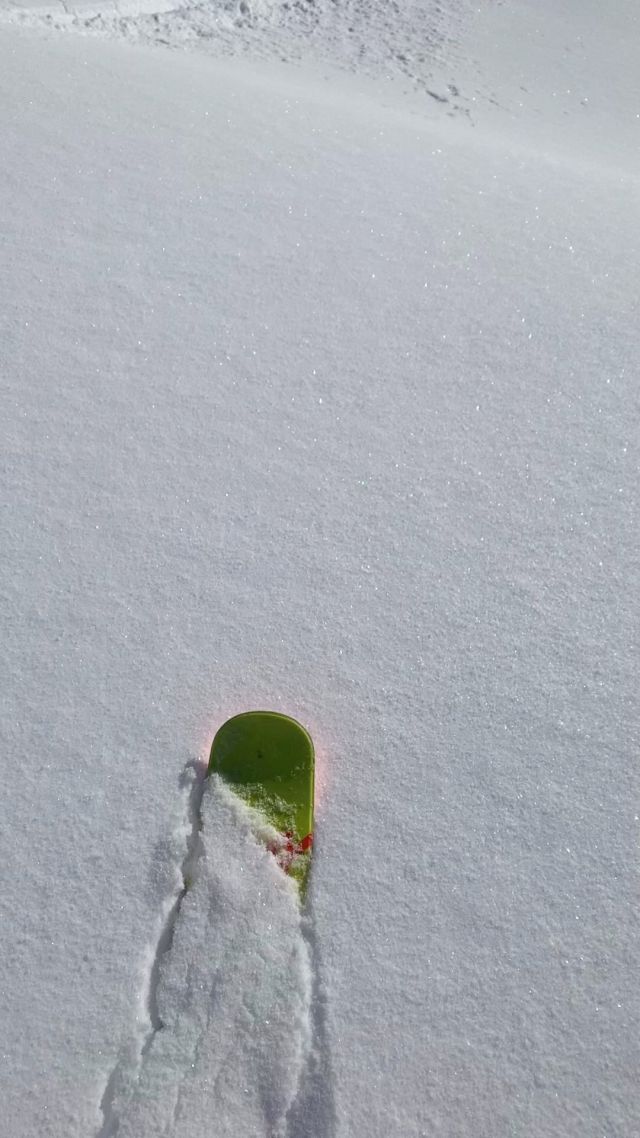 Gallery – Alpine HeliSki